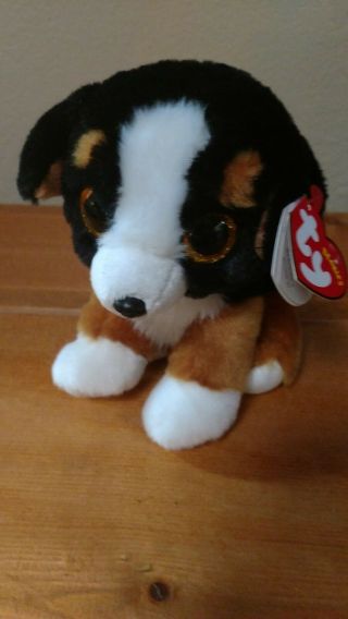 Ty Beanie Baby 6 " Roscoe The Bernese Mountain Dog Stuffed Animal Plush ...