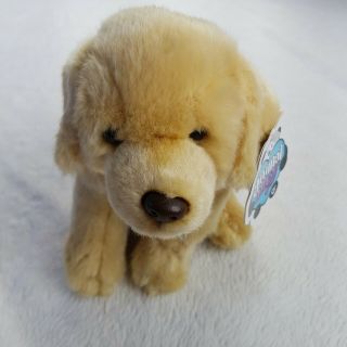 Animal Alley Toys R Us Golden Retriever Plush Stuffed Animal Toy Dog ...